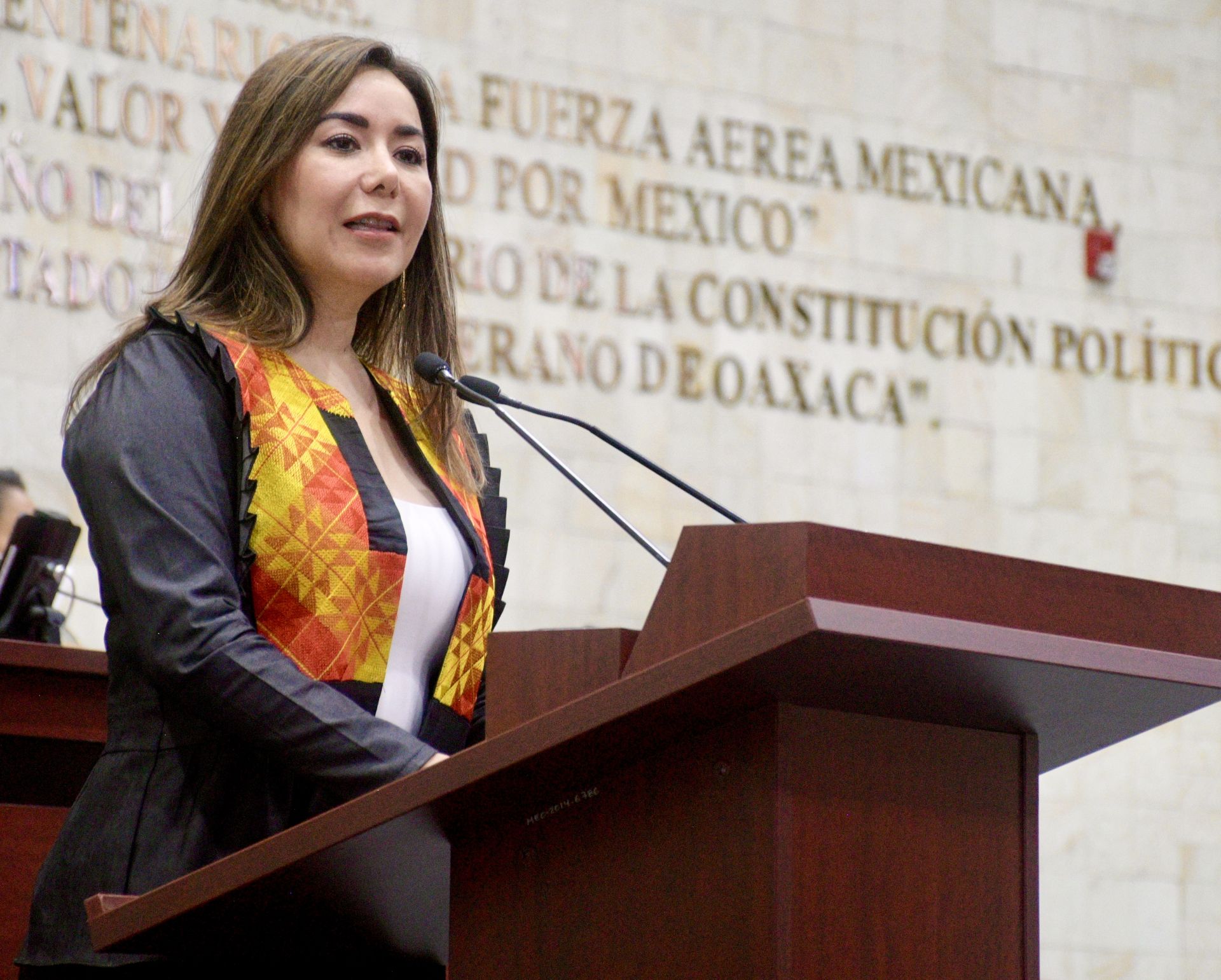 Plantea Haydeé Reyes reforma para agilizar el reconocimiento del ...